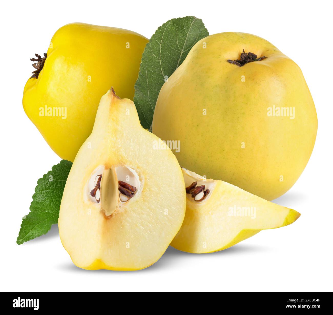 Delicious fresh ripe quinces with leaves isolated on white Stock Photo ...
