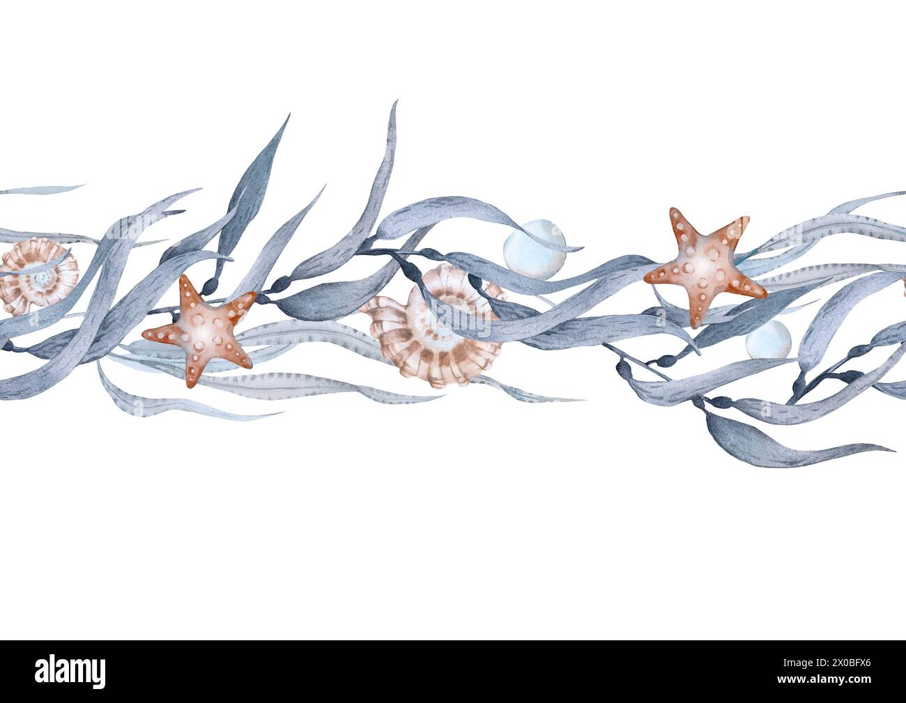 Seaweed, starfish, pearls and shells seamless horizontal pattern. Hand ...