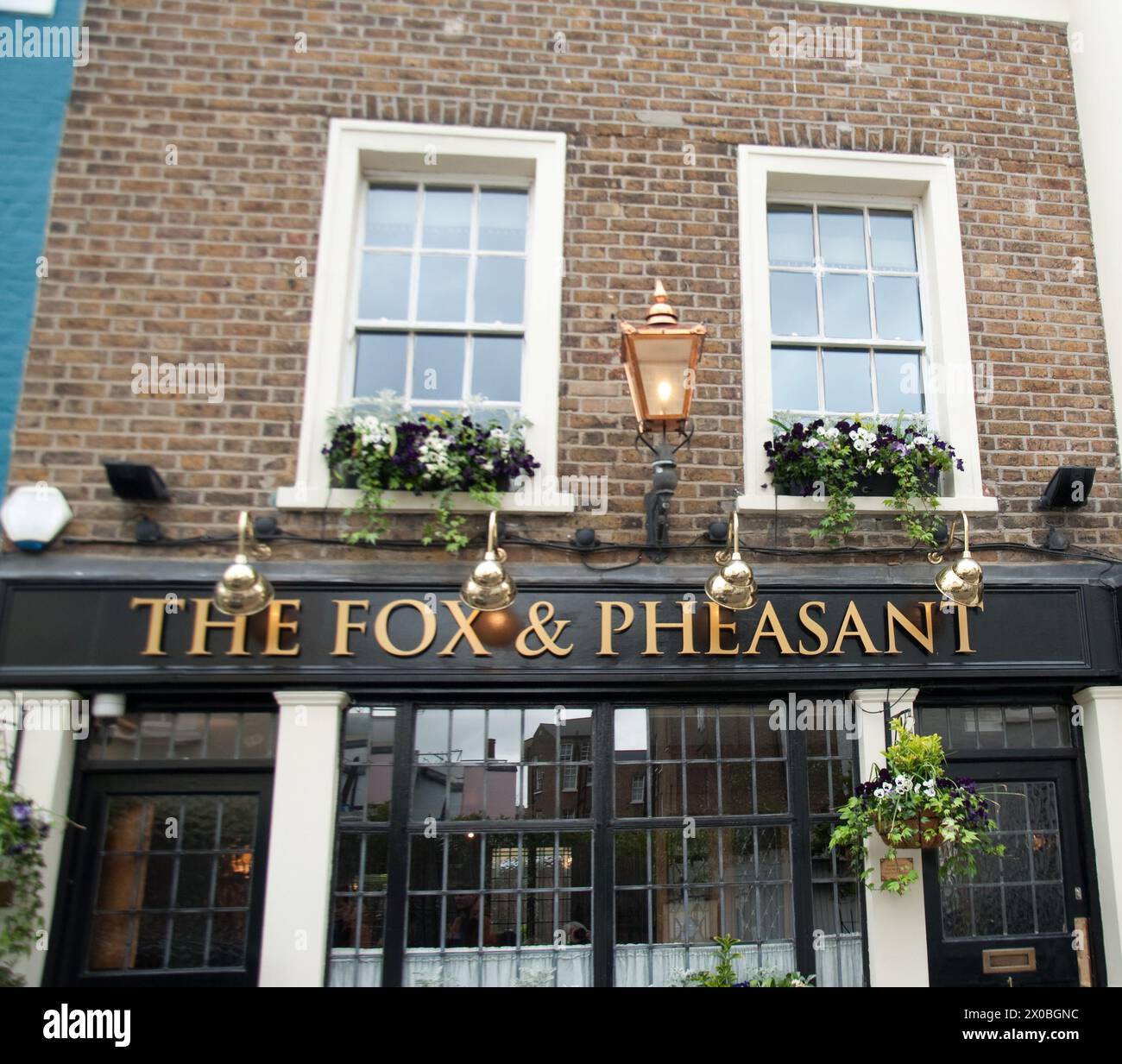 Fox and pheasant hi-res stock photography and images - Alamy