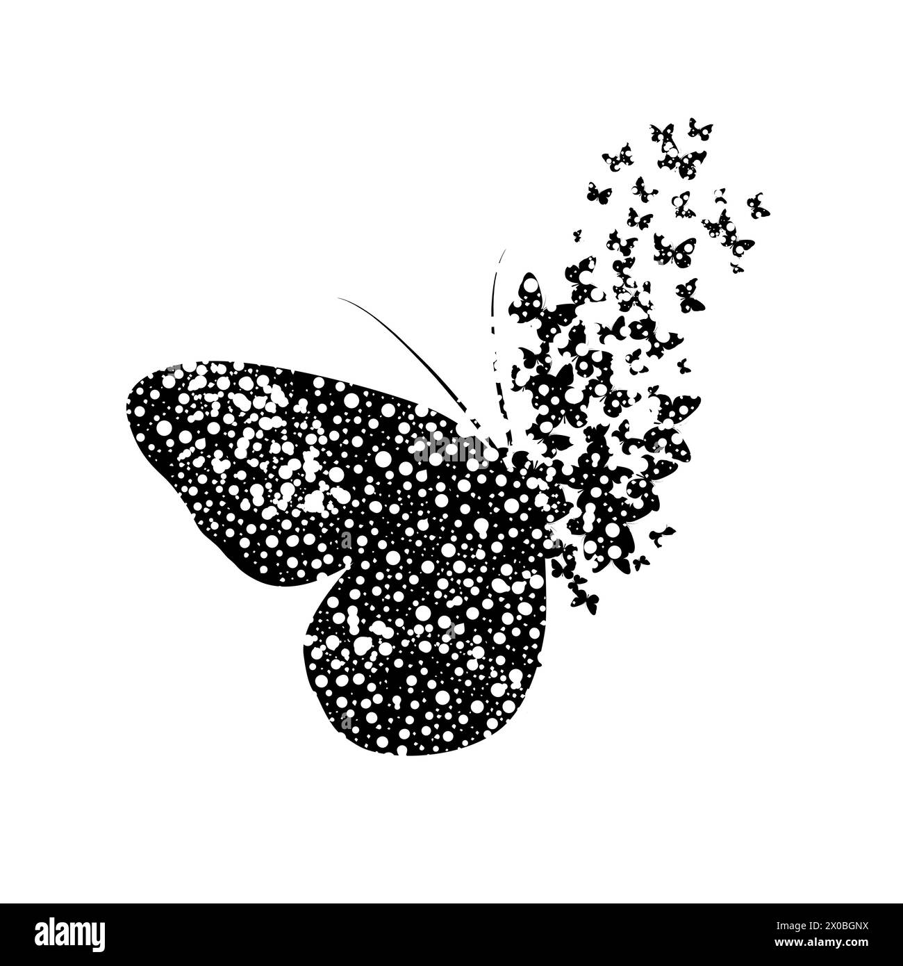 Graphic butterfly of black dots. hand drawing. Not AI, Vector ...