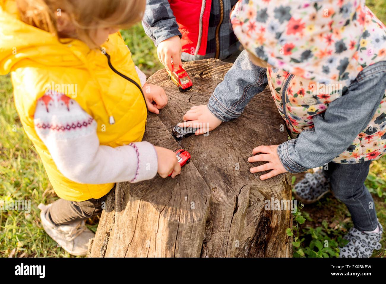 three kids playing with cars on a tree stump in the park, only hands ...