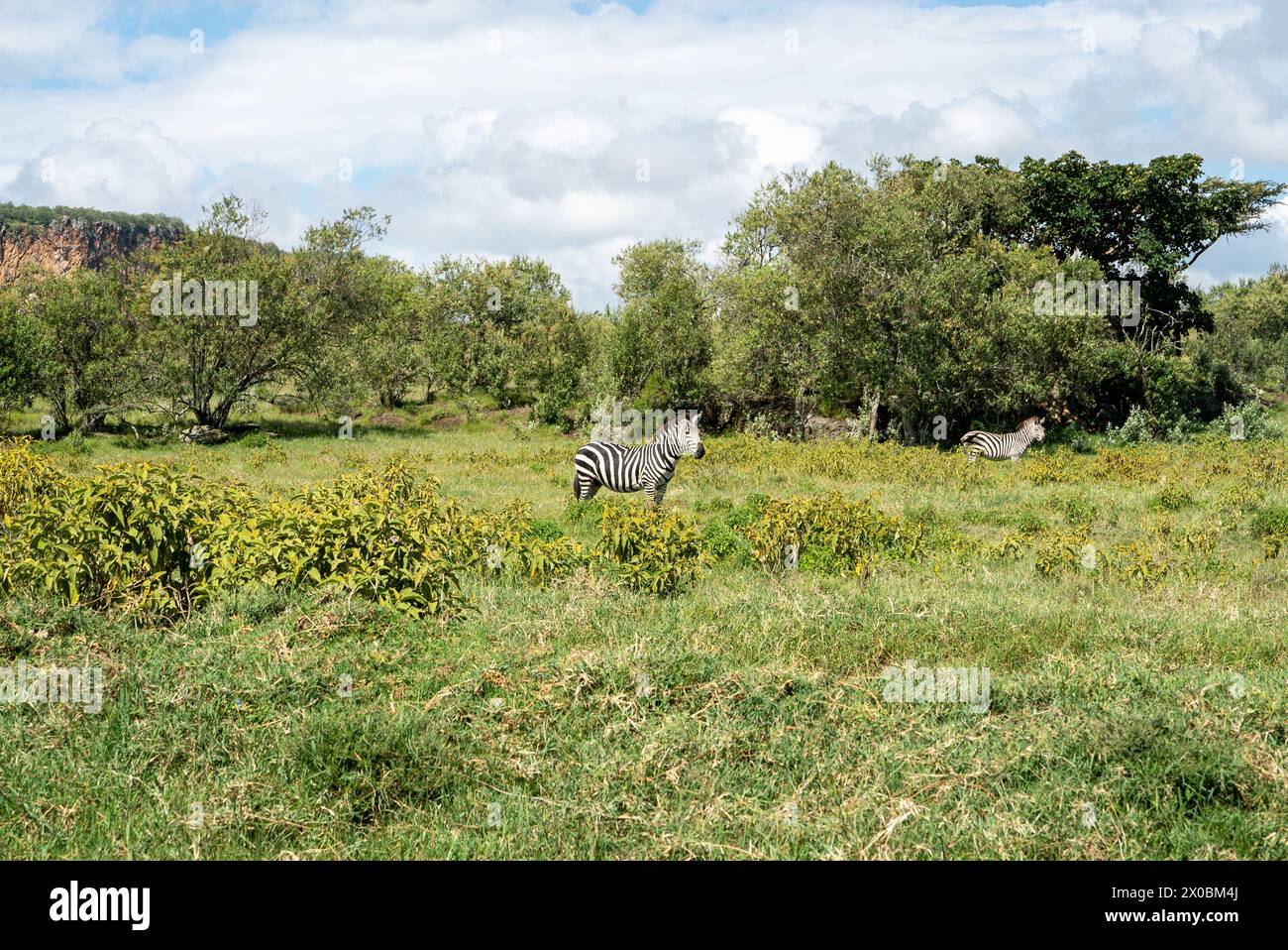Hell gate national park kenya hi-res stock photography and images - Alamy