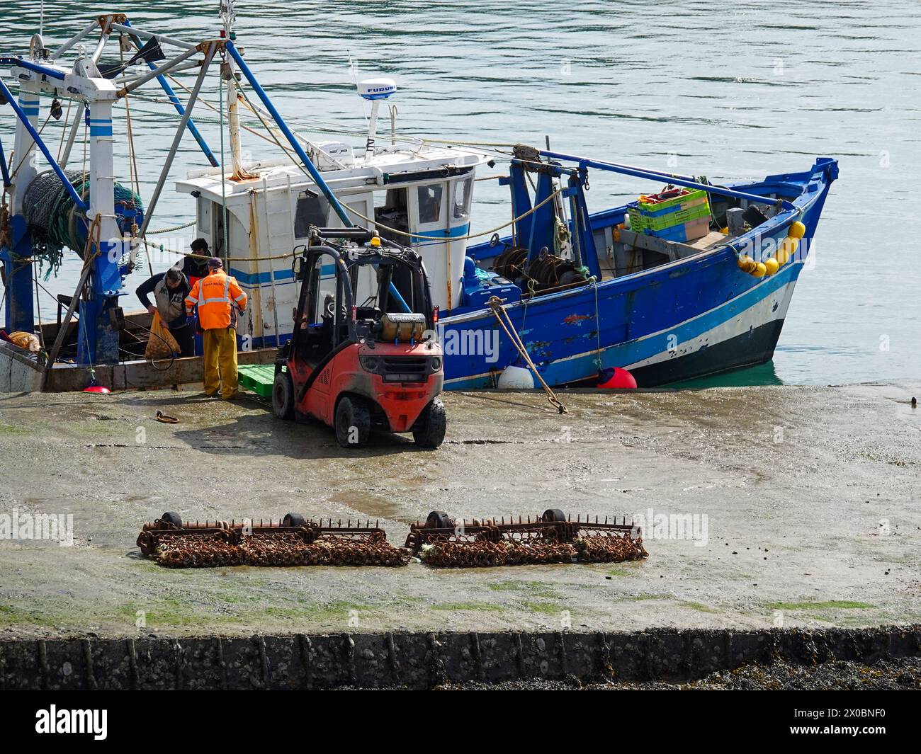 Fishermen bringing in a sack of harvested shell fish, Port of Saint ...