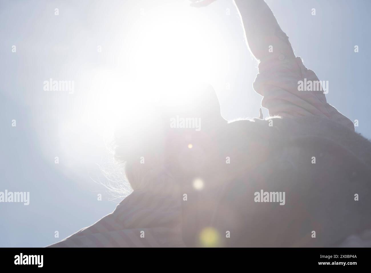 light as life force in nature, sunshine for energy and vitality light ...