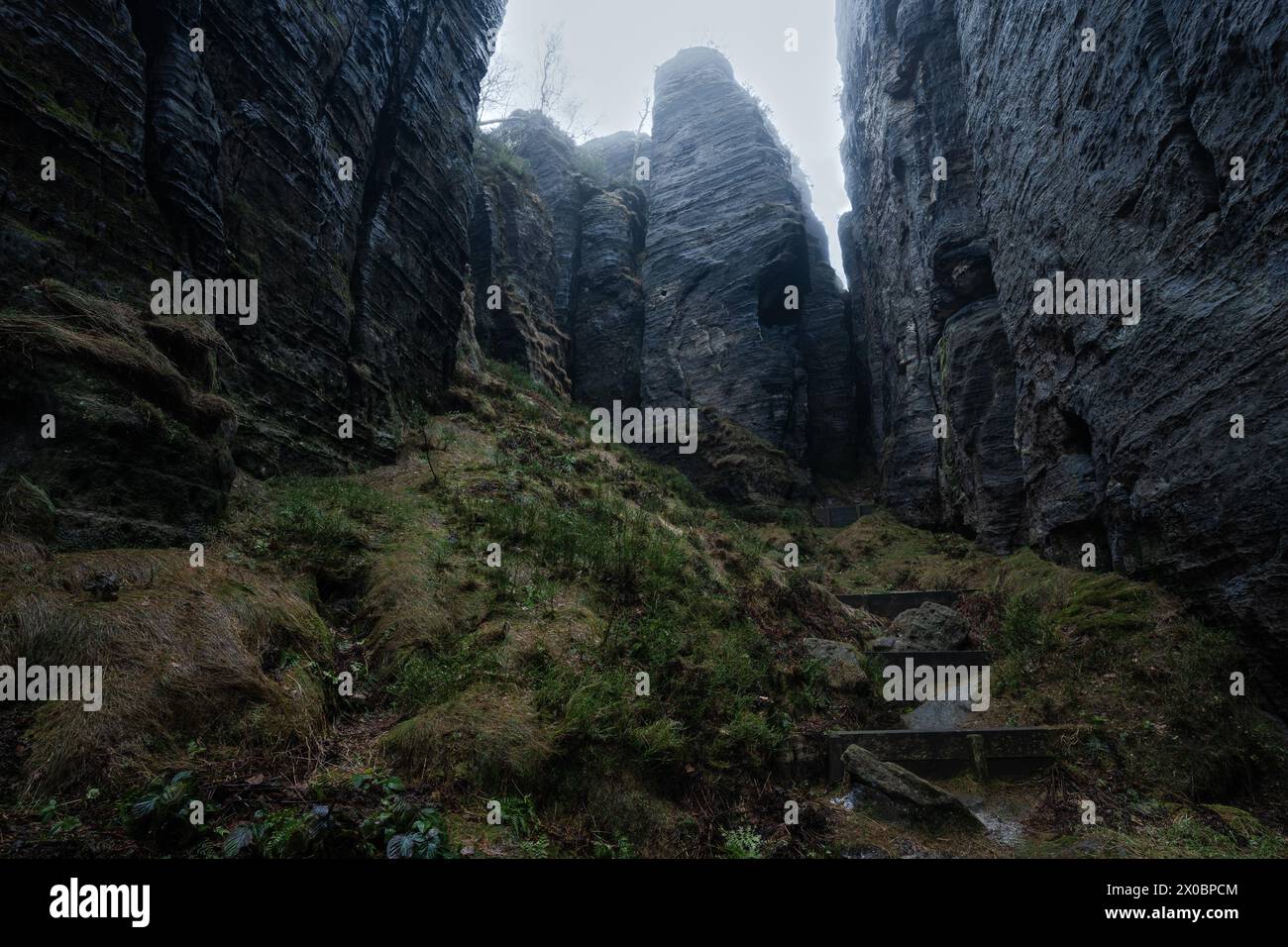 Gloomy and totally moody path lost in the foggy rocks with the best ...