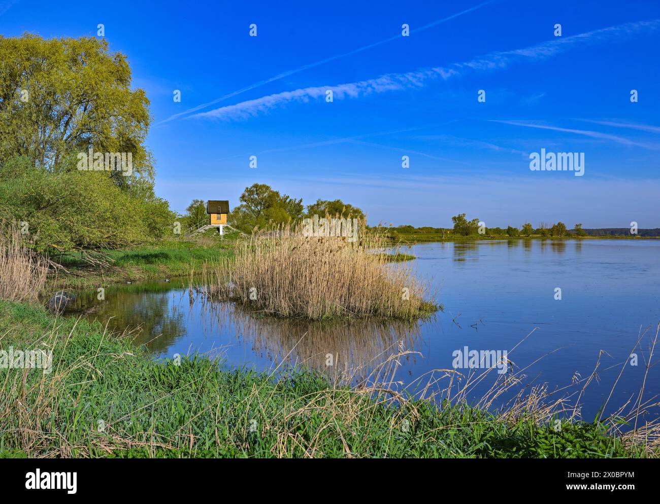 Ratzdorf, Germany. 11th Apr, 2024. Spring on the German-Polish border ...