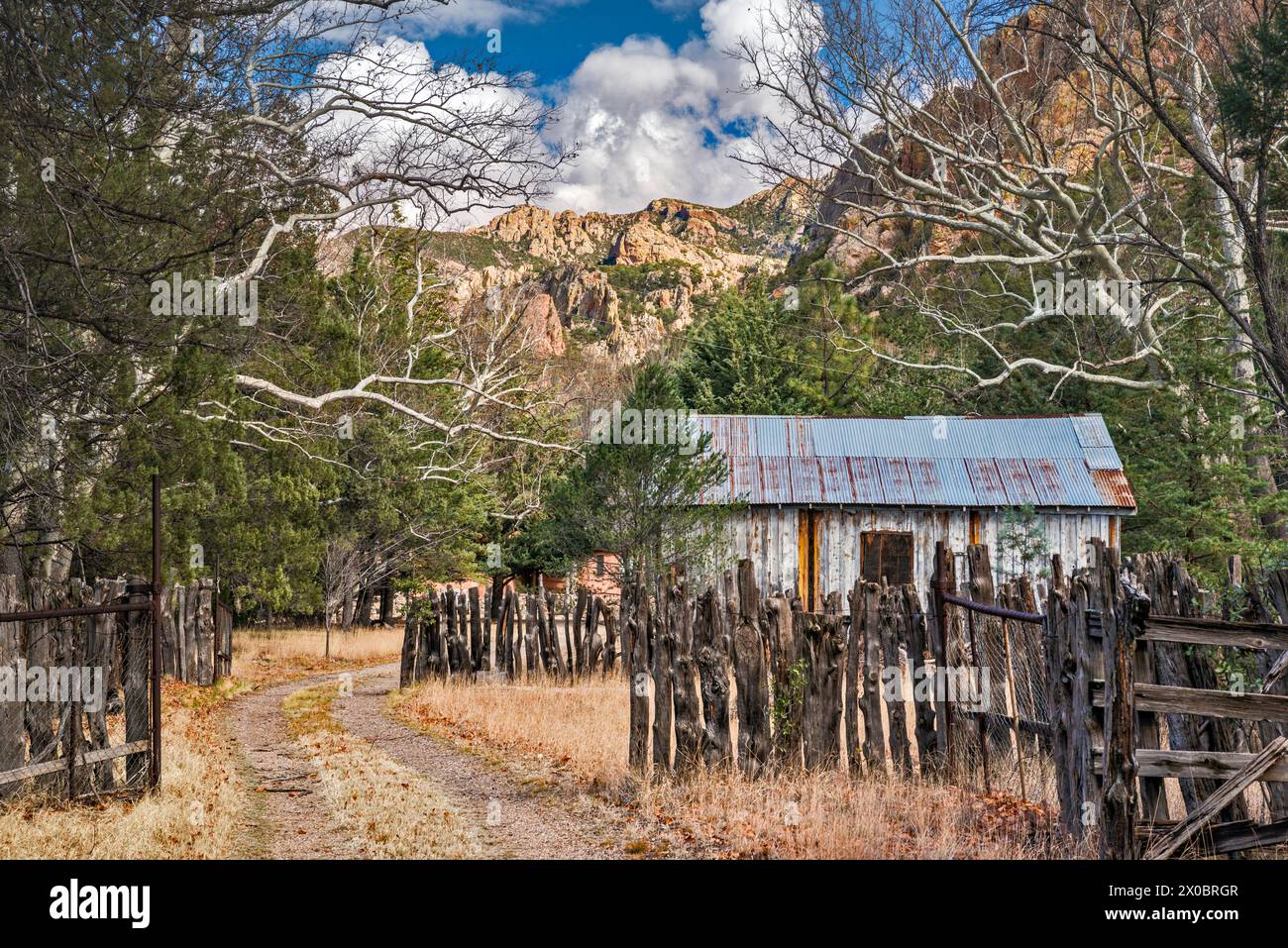 Old shack at farmstead in Cave Creek Canyon, Portal Peak massif in ...