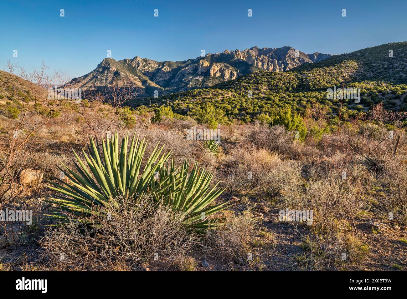 Sulphur Peak group, view from Paradise Road, Chiricahua Mountains ...