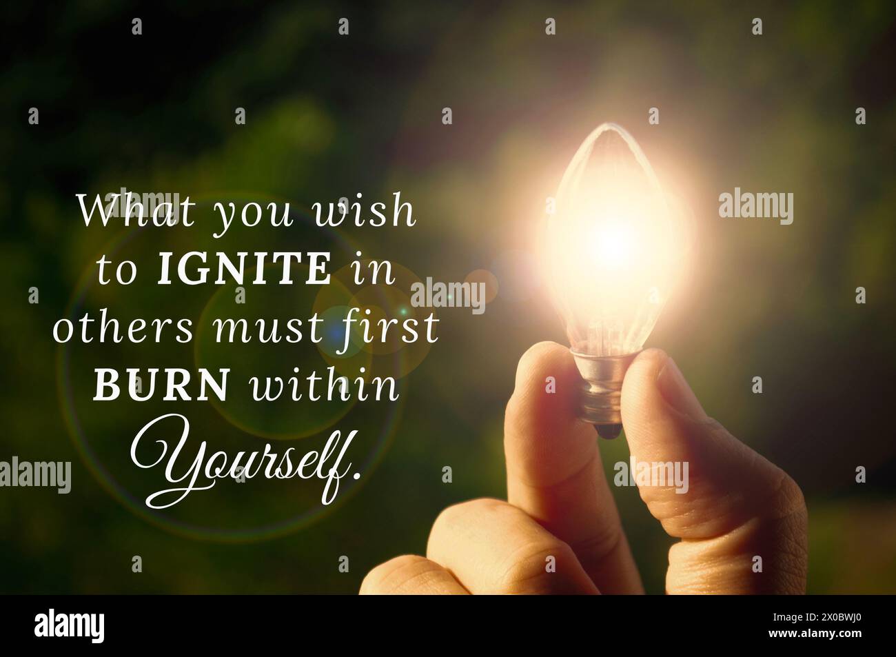 What you wish to ignite in others must first burn within yourself quote ...