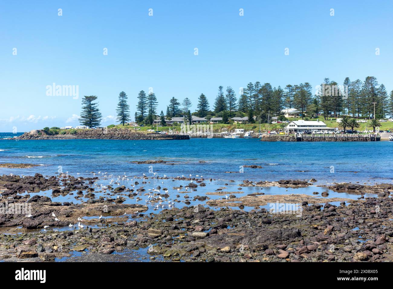 Kiama beach beaches rocks rocky harbour park foreshore palm tree hi-res ...