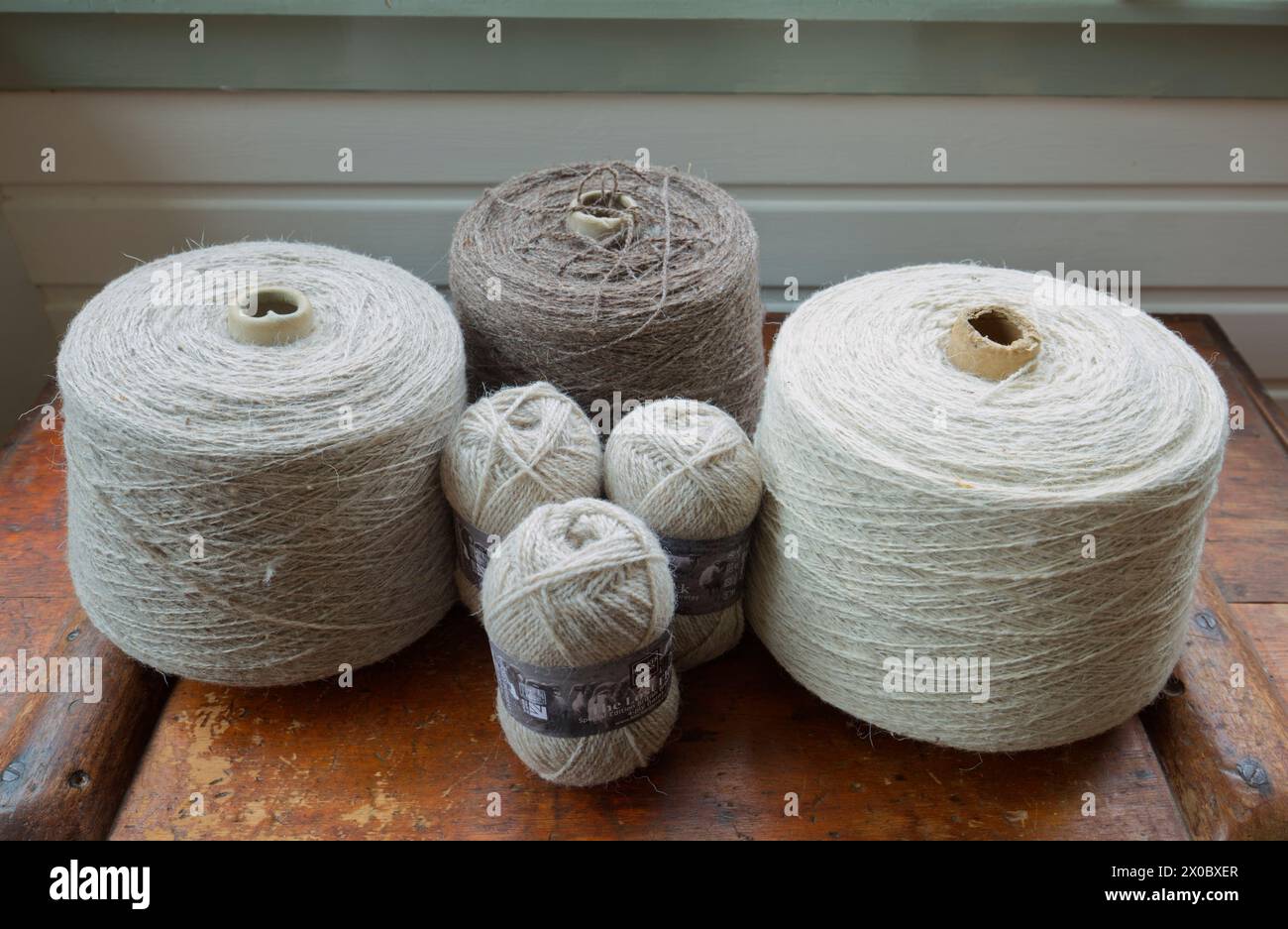 Orkney Boreray sheep hand spun yarn Stock Photo - Alamy