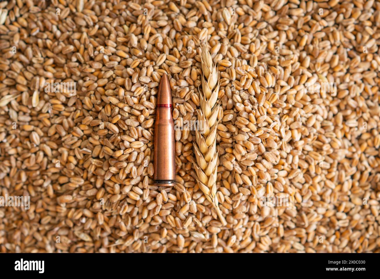 Scattered Wheat Grains and Bullet Shells on a Wooden Surface Stock ...