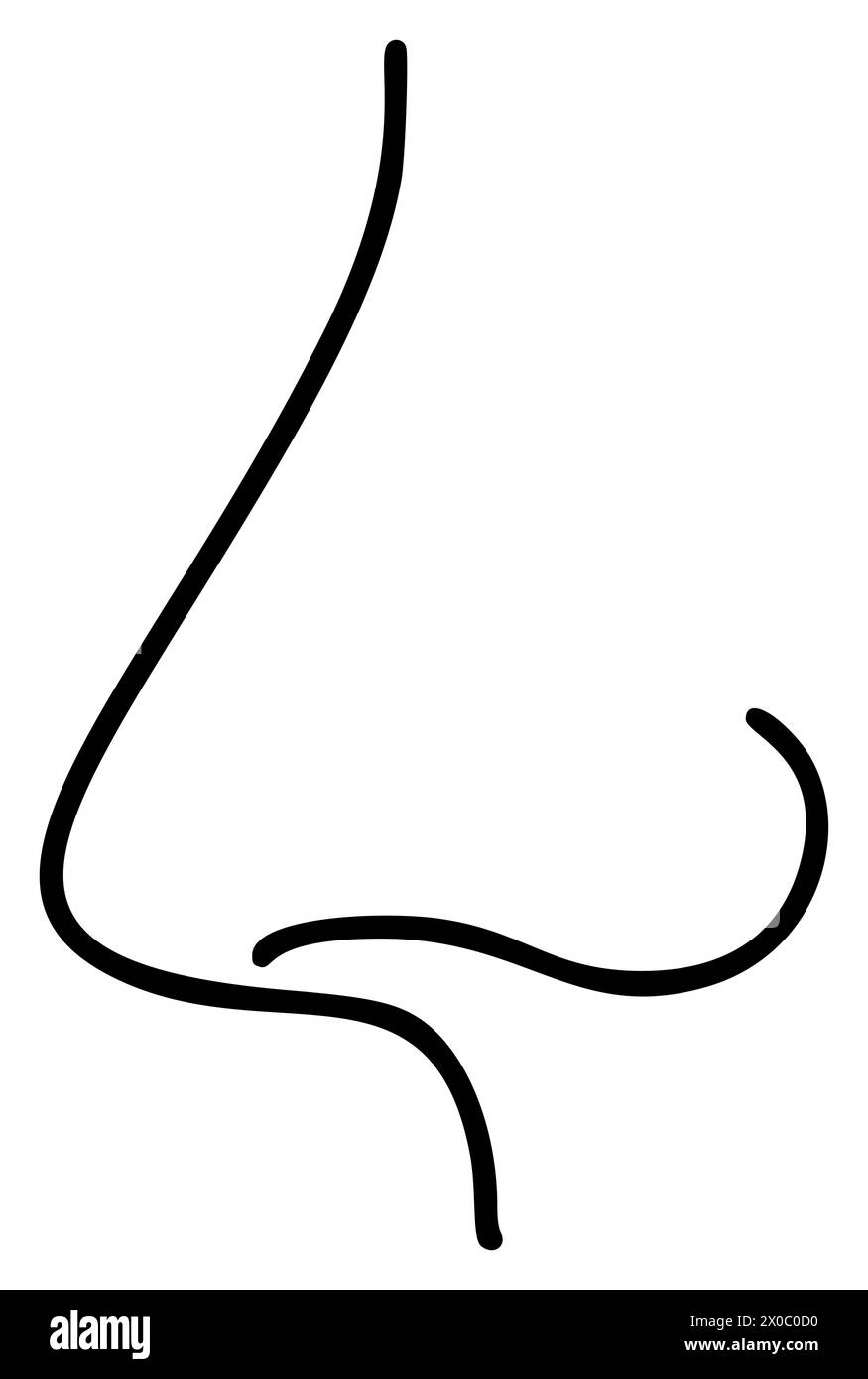 Nose profile Cut Out Stock Images & Pictures - Alamy