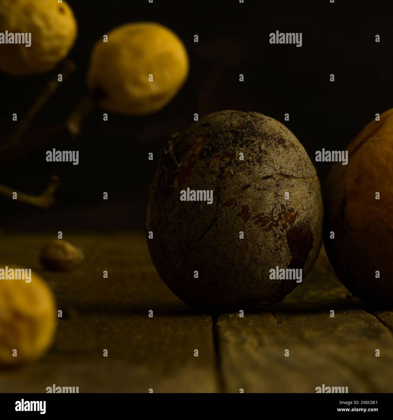 Artistic avocado hi-res stock photography and images - Alamy