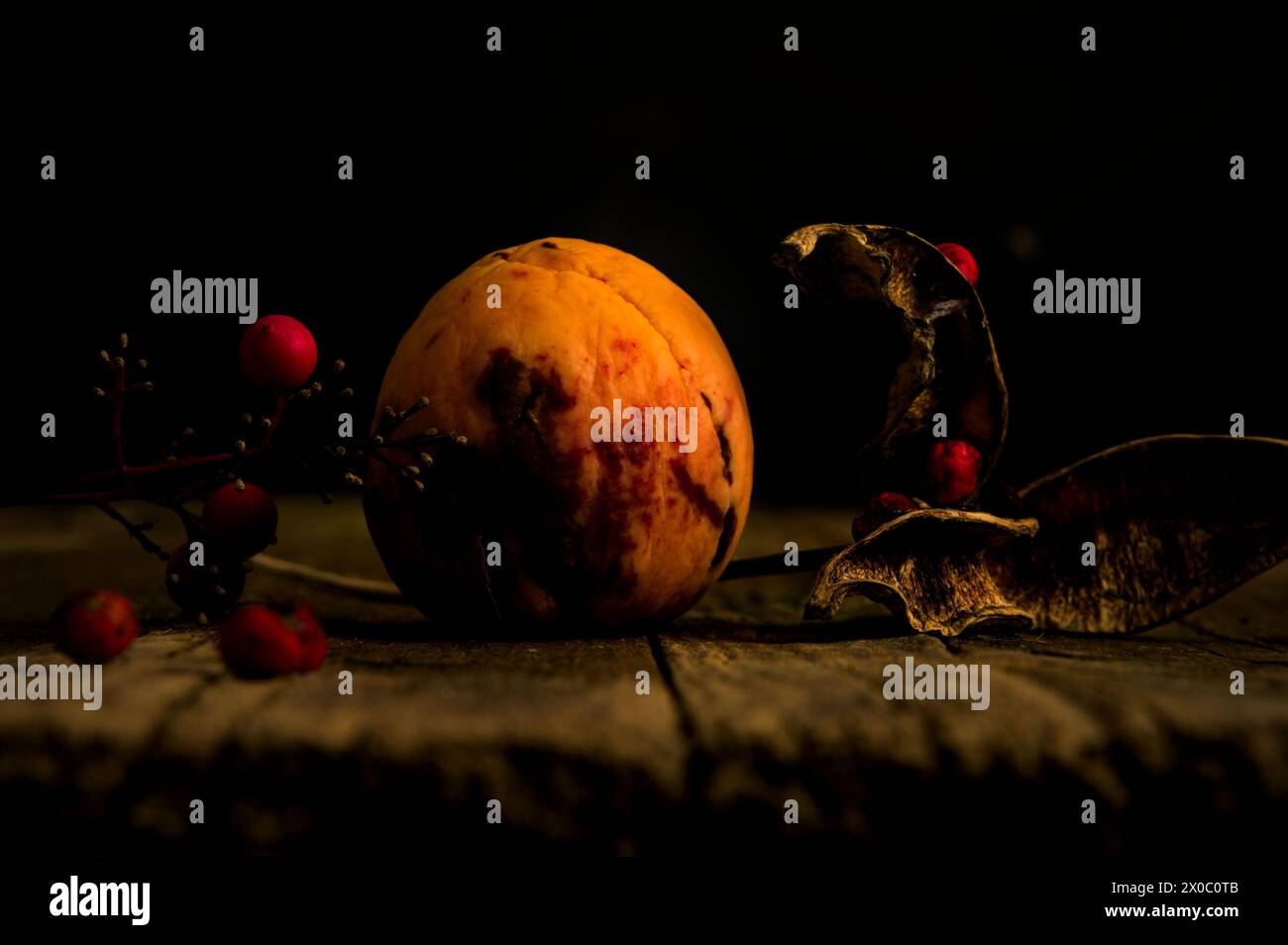 Still life photography avocado hi-res stock photography and images - Alamy