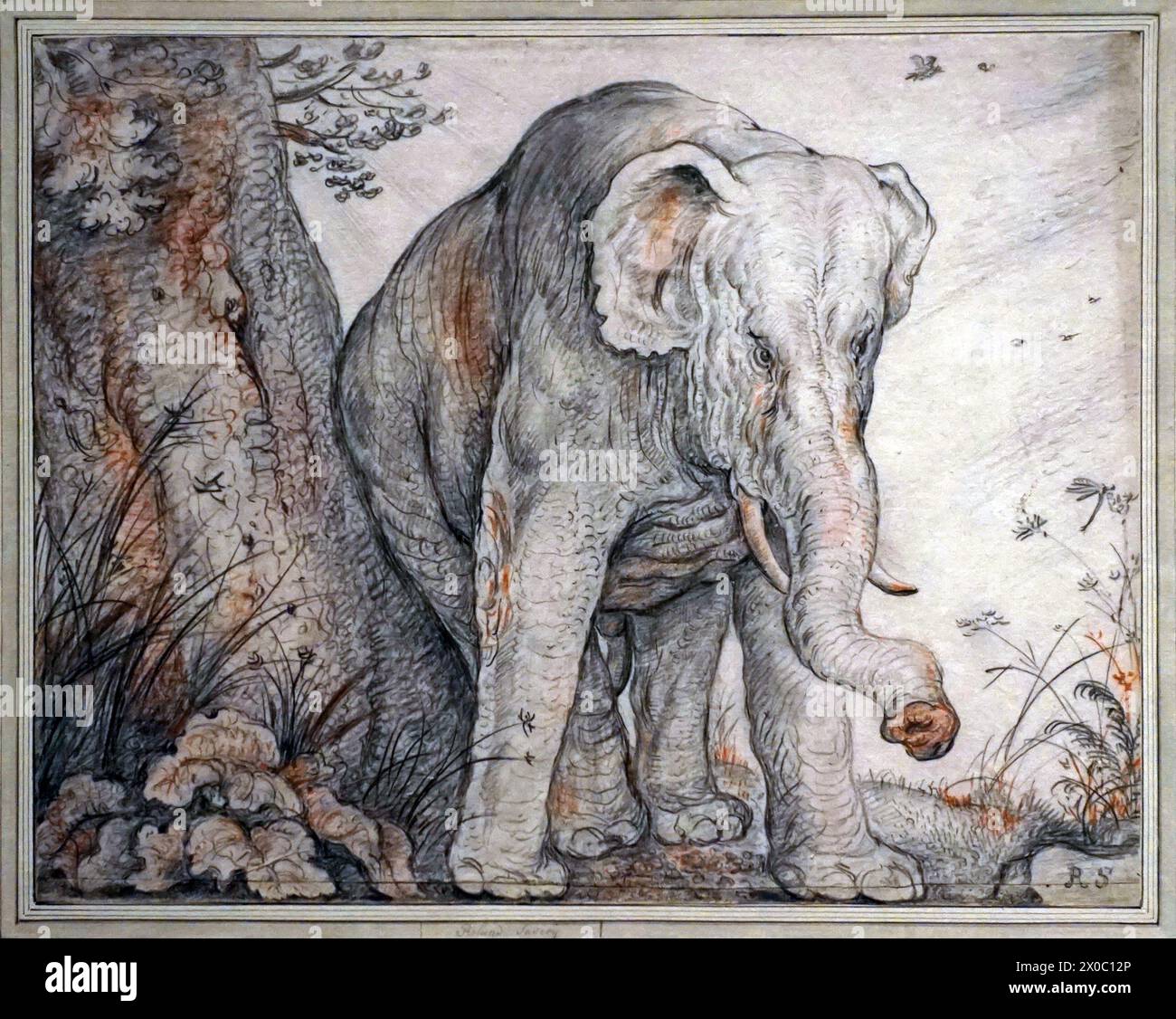 Roelant maertensz saverij hi-res stock photography and images - Alamy