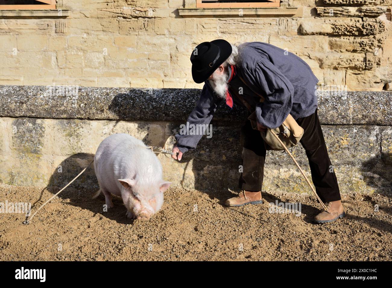 Truffiere hi-res stock photography and images - Alamy