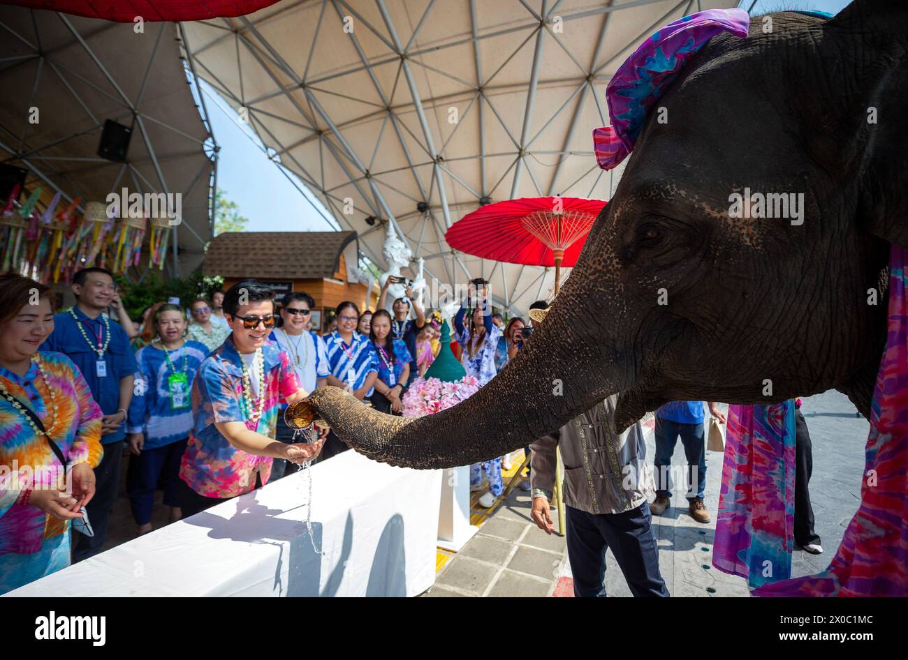 Thai people celebrate songkran with an elephan during the Songkran ...