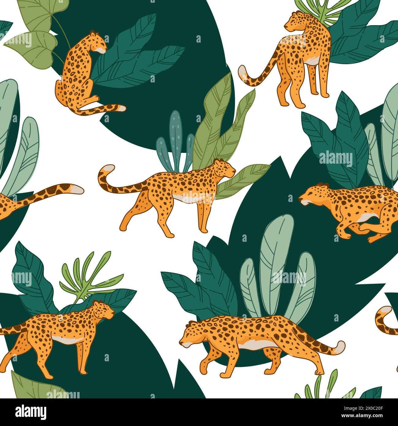 Wildlife leopard animal running and hunting jungle Stock Vector Image ...