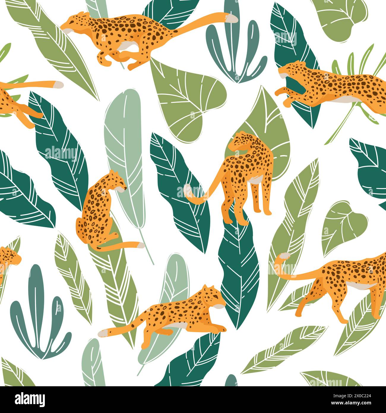 Leopard or cheetah hiding in lush monstera leaves Stock Vector Image ...