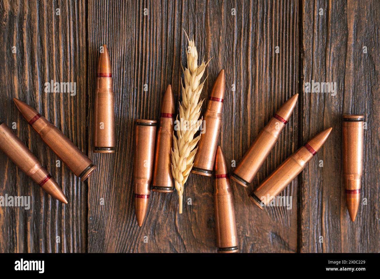 Scattered Wheat Grains and Bullet Shells on a Wooden Surface Stock ...