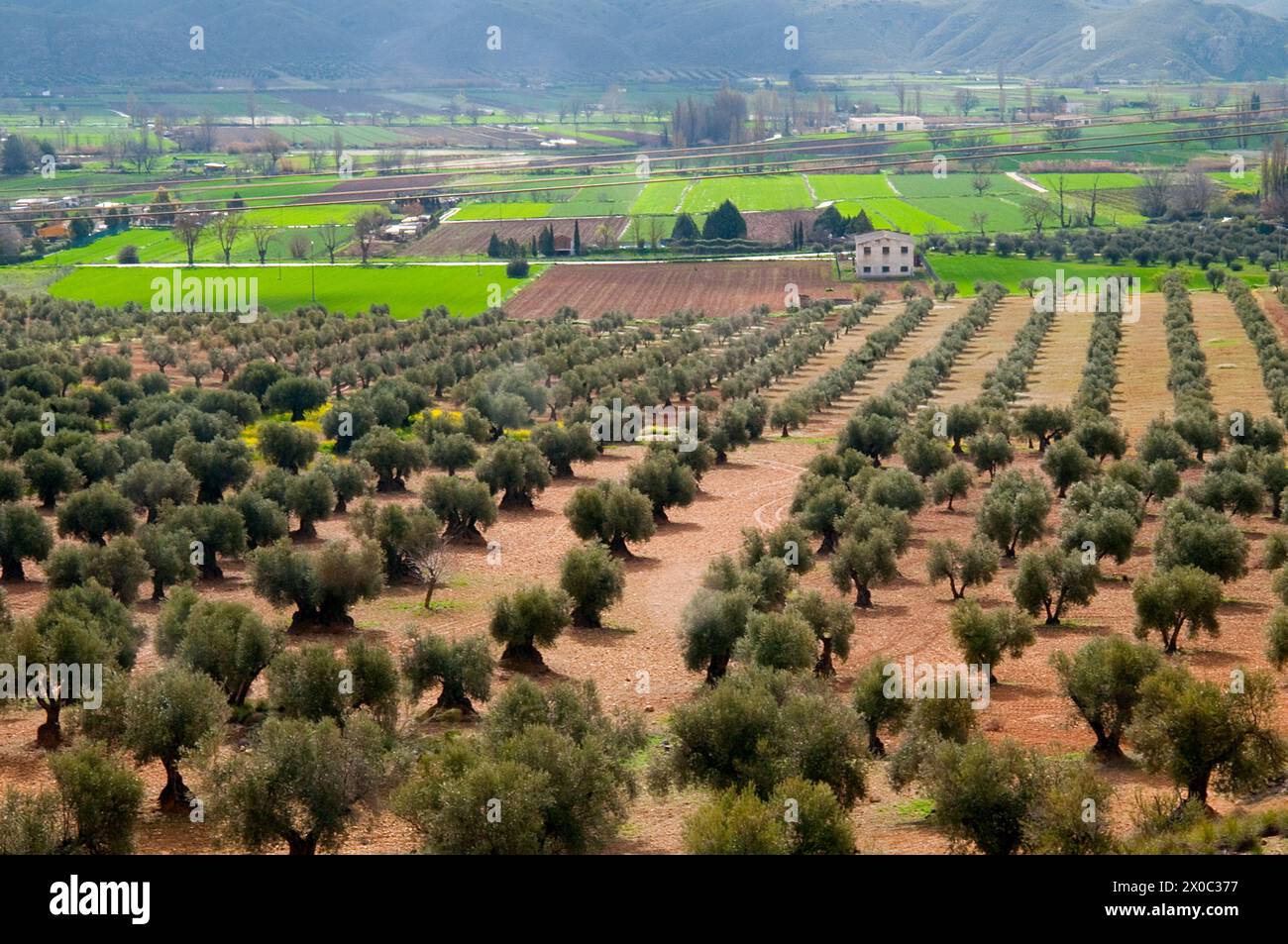 Cultivo de cultivos hi-res stock photography and images - Alamy