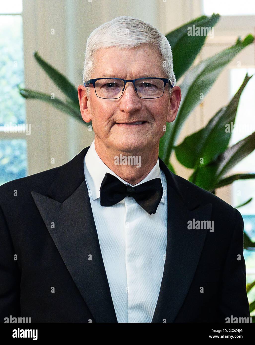 Mr. Tim Cook & Ms. Lisa Jackson arrive for the State Dinner hosted by ...