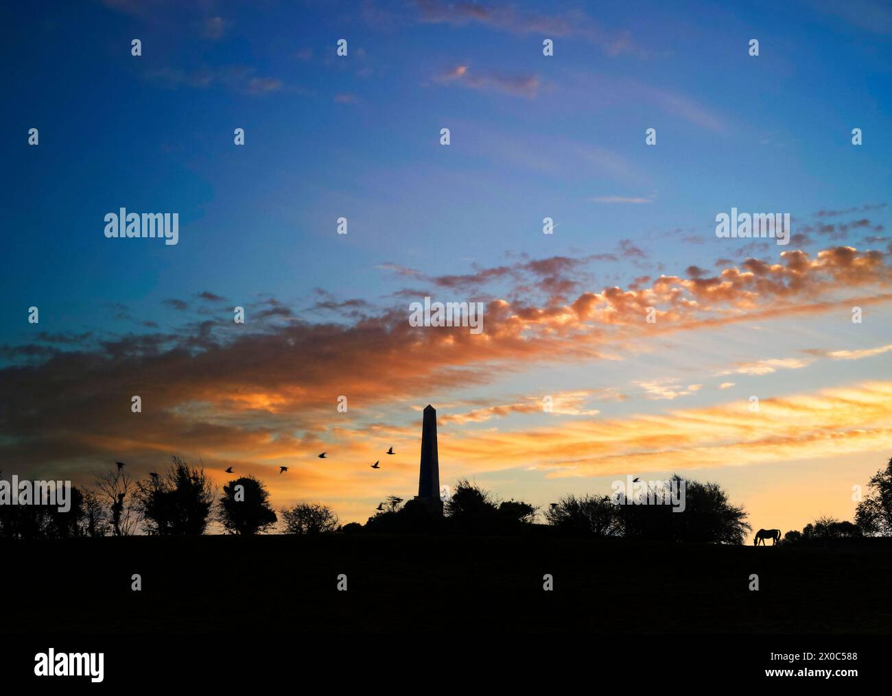 Dawn breaks over the Raleigh Obelisk folly, erected in 1810, in the ...