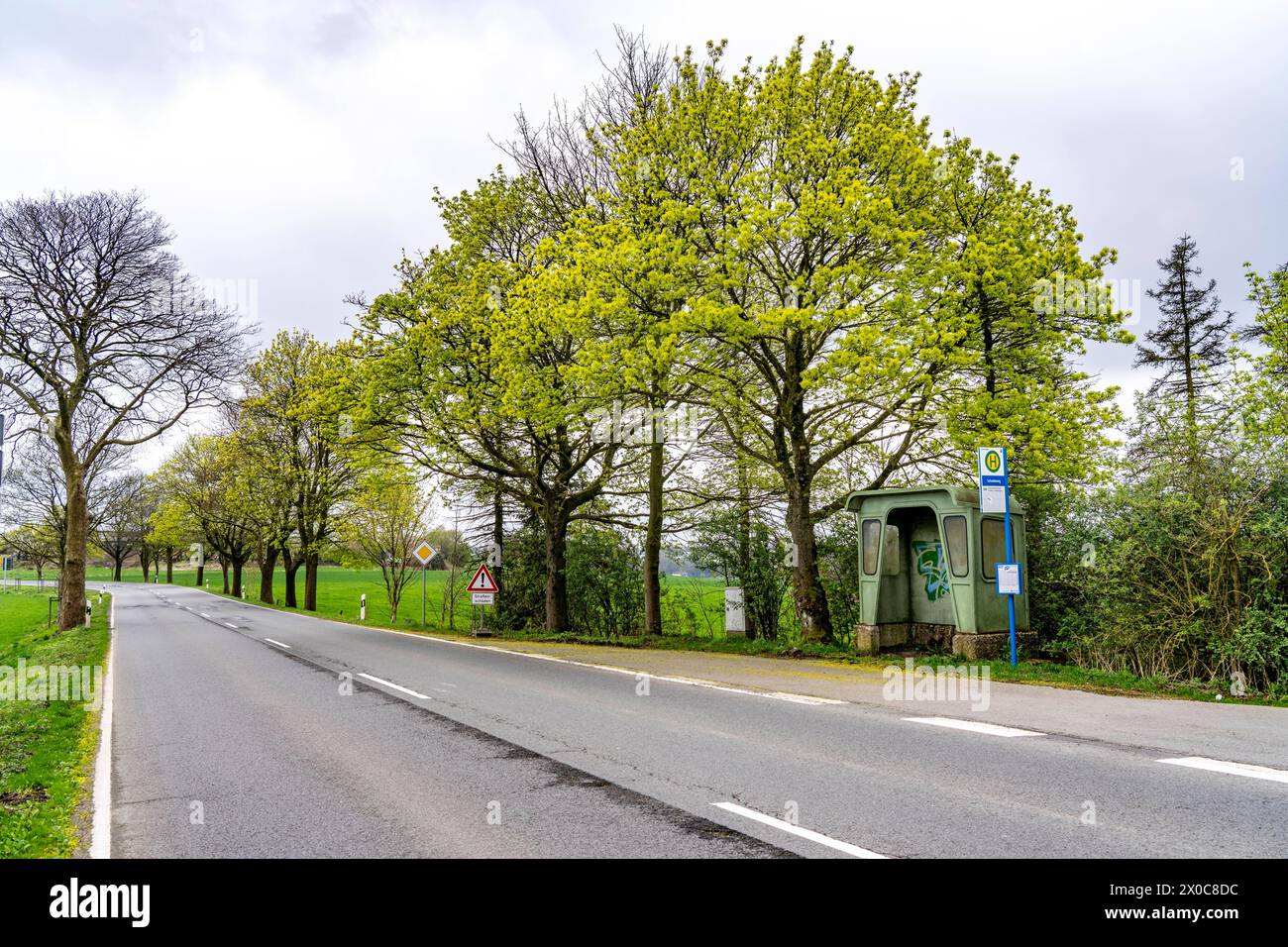 Bus route 339 hi-res stock photography and images - Alamy