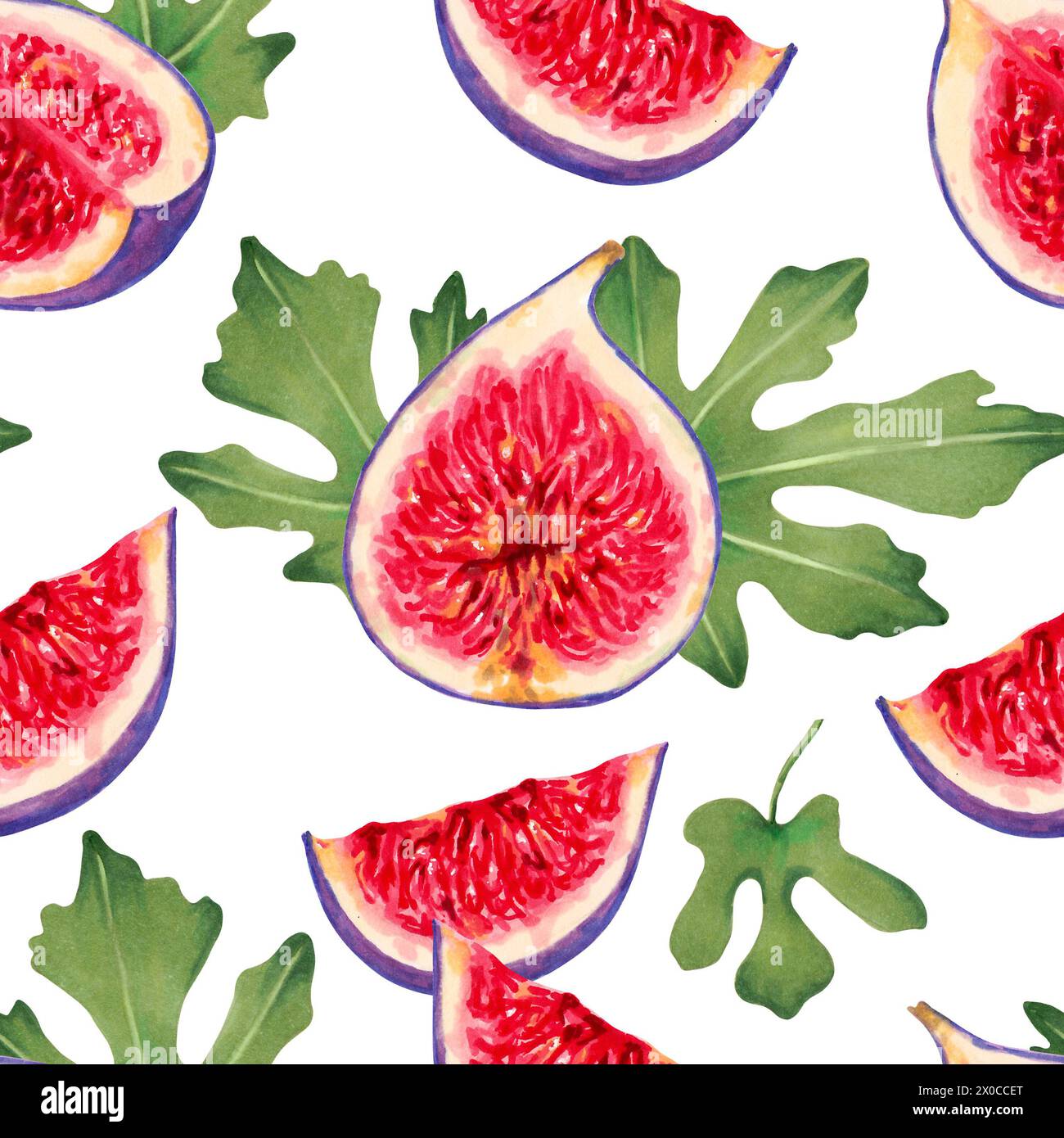 Fig leaf clipart hi-res stock photography and images - Alamy