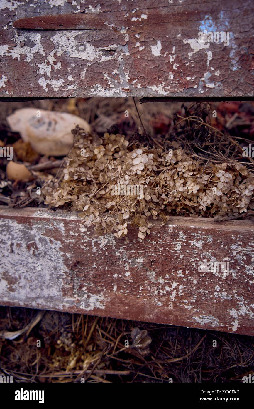 a compost barrier, home processing of organic waste Stock Photo - Alamy