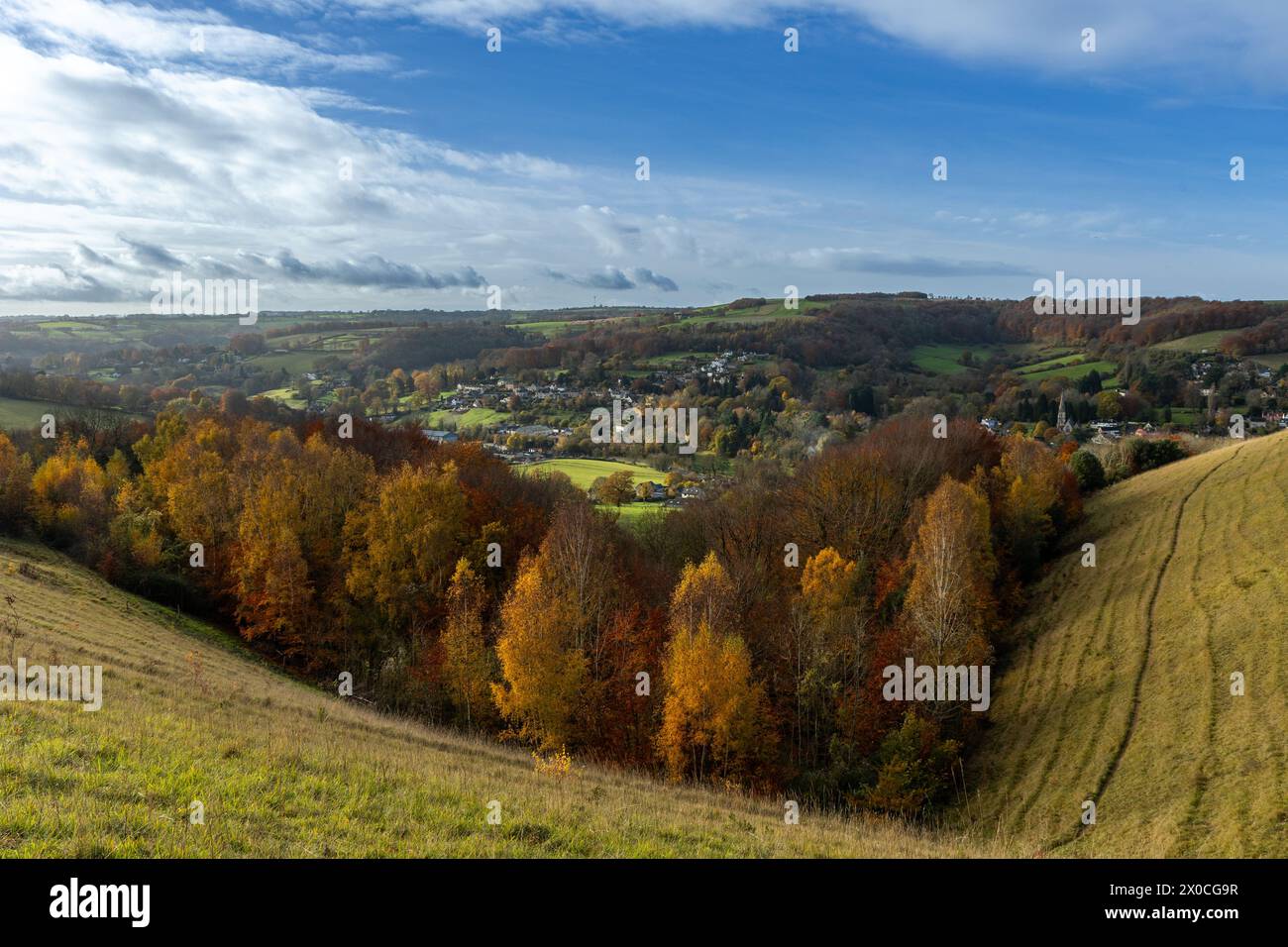 Autumn trees on Rodborough Common looking south to Woodchester Stock ...