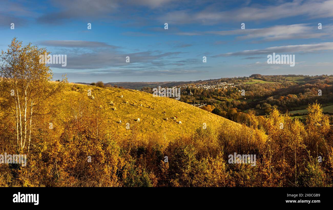 Autumn trees on Rodborough Common looking north to Stroud Stock Photo ...