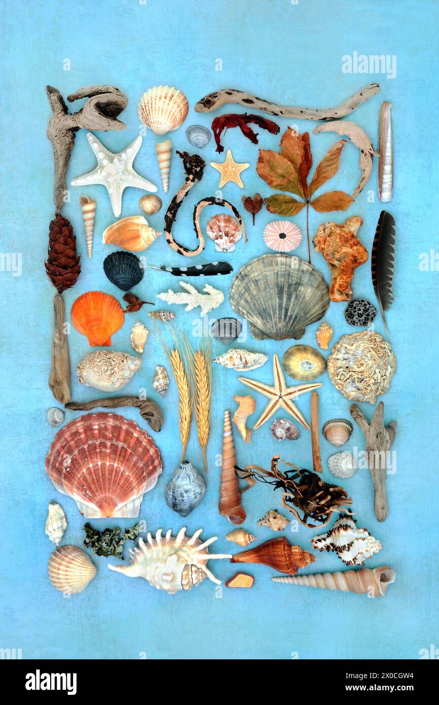 Flora and fauna collage hi-res stock photography and images - Alamy