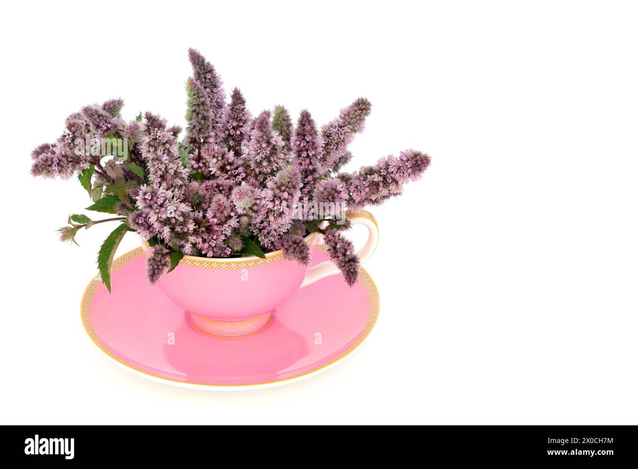 Peppermint flower leaf tea in pink teacup on white background with copy ...