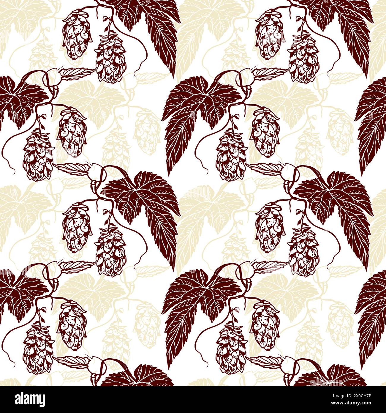 Hop botanical illustration hi-res stock photography and images - Alamy