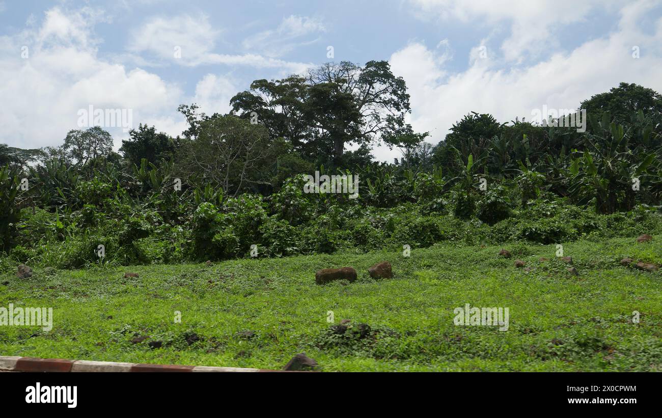Views of life in Malabo, Equatorial Guinea. Street life merges with ...