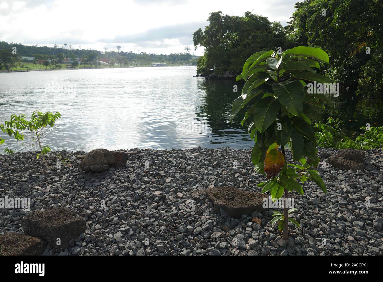 Views of life in Malabo, Equatorial Guinea. Street life merges with ...