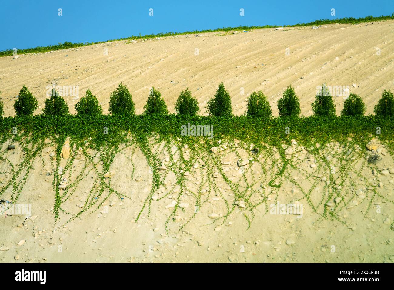 Dubai, Arab Emirates - January 15, 2023: Strengthening highway slopes ...