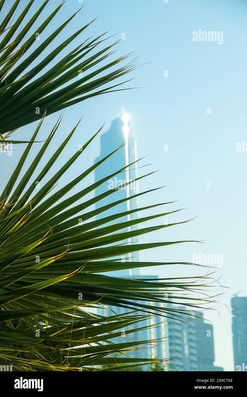 Abu Dhabi, Arab Emirates. Modern urban architecture of the business ...