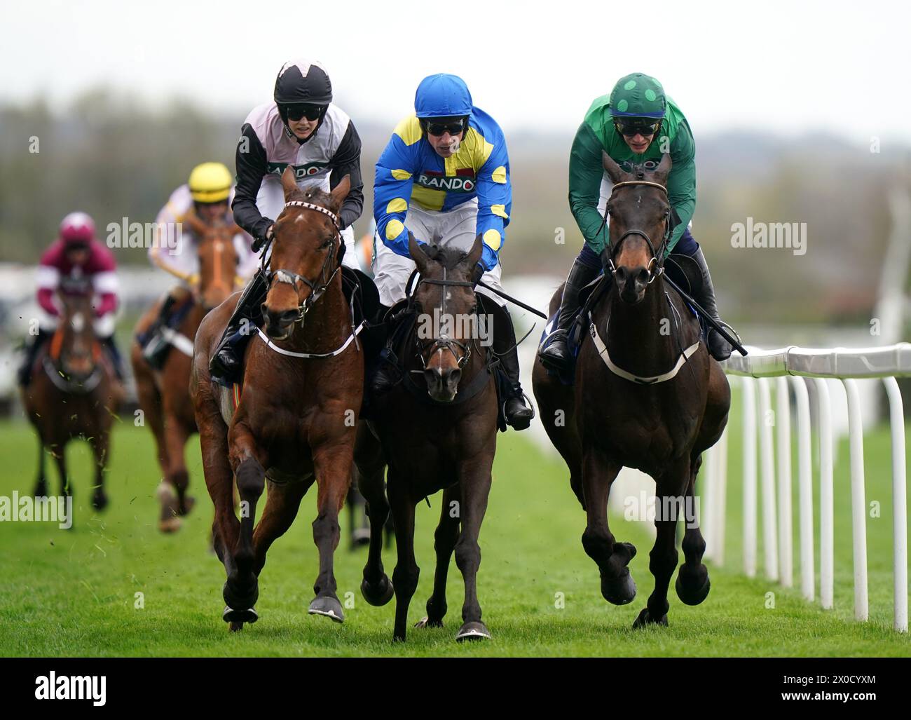 Harry skelton finish hi-res stock photography and images - Alamy