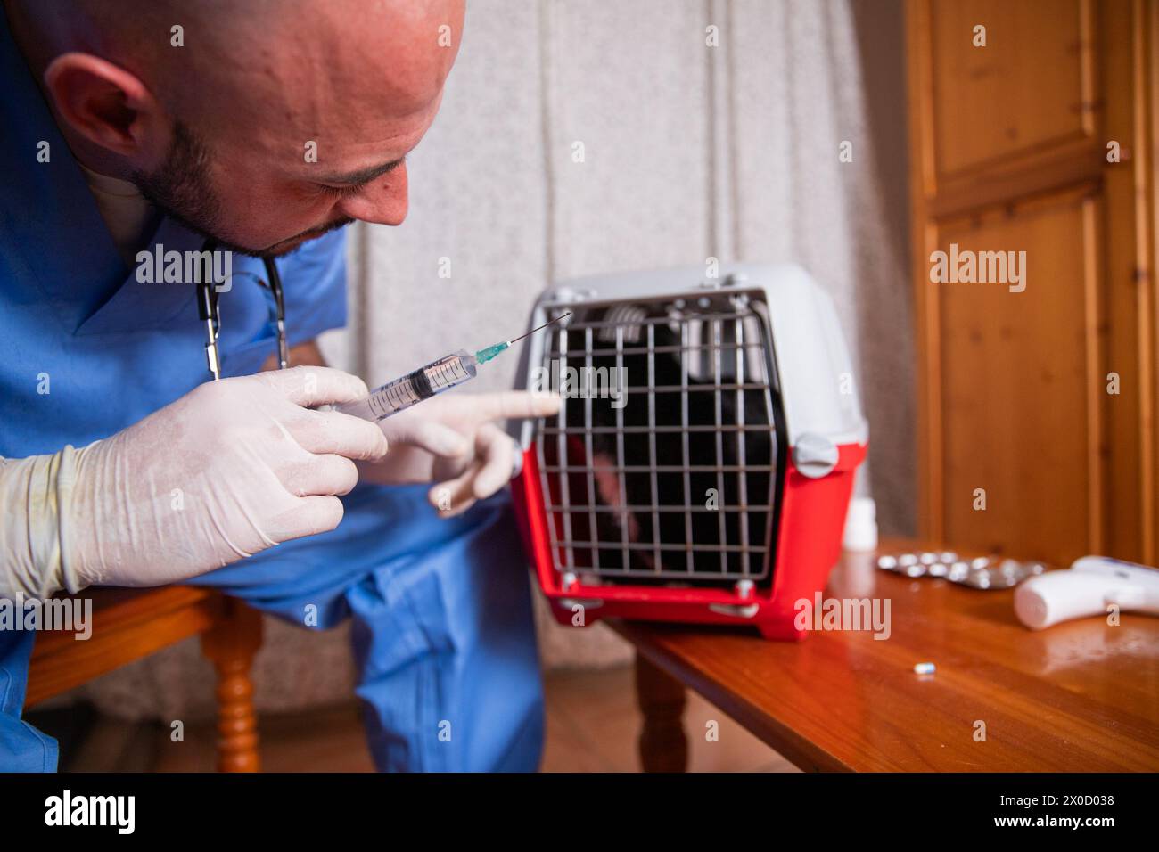 A veterinary doctor is giving a shot to a cat in a cage Stock Photo - Alamy