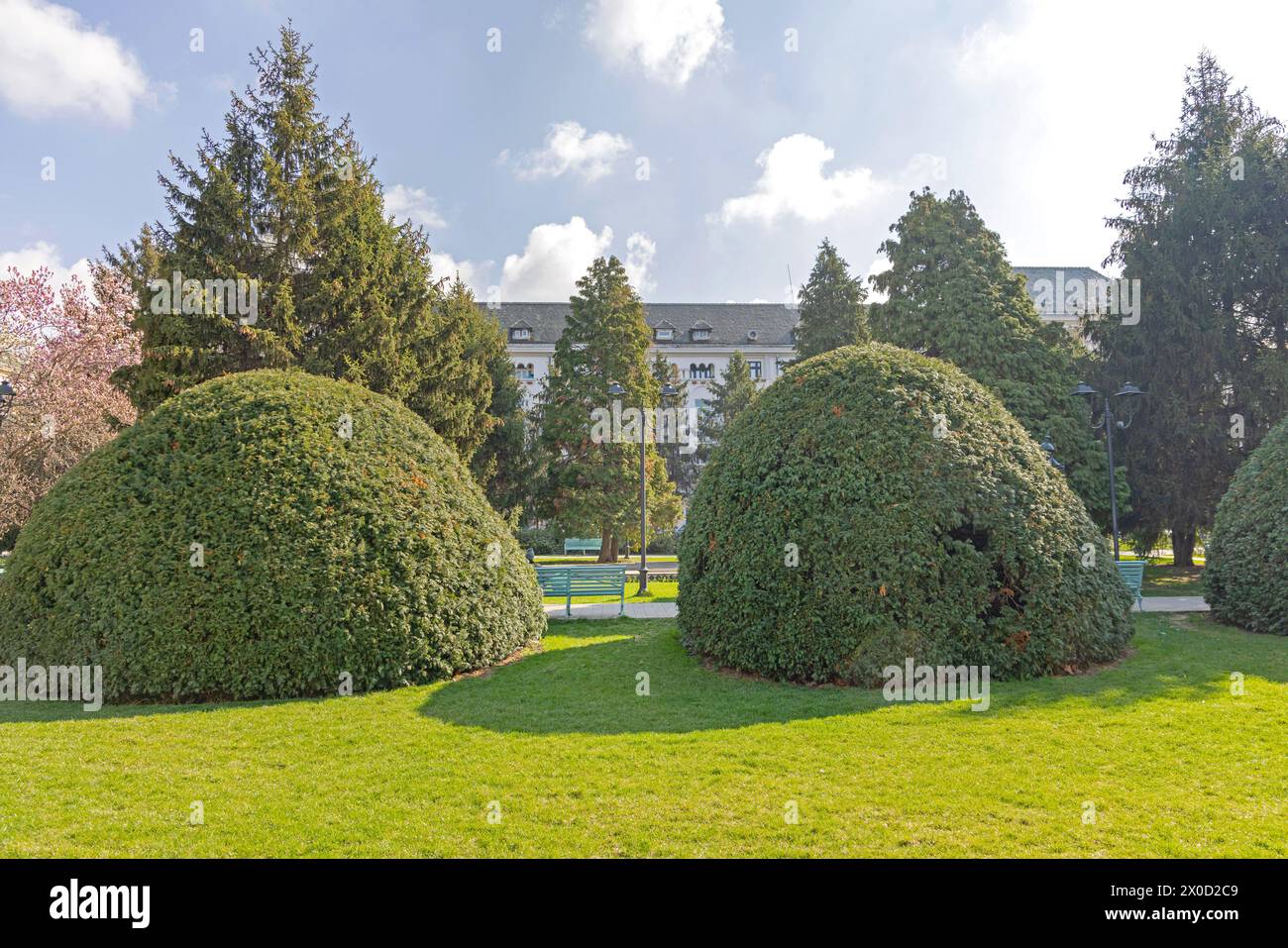English Park Topiary in City Centre Craiova Romania at Sunny Spring Day ...