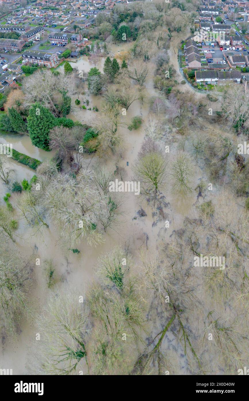 Woodlan beside the ruver Ock flooded, surrounded by housing, Abingdon ...