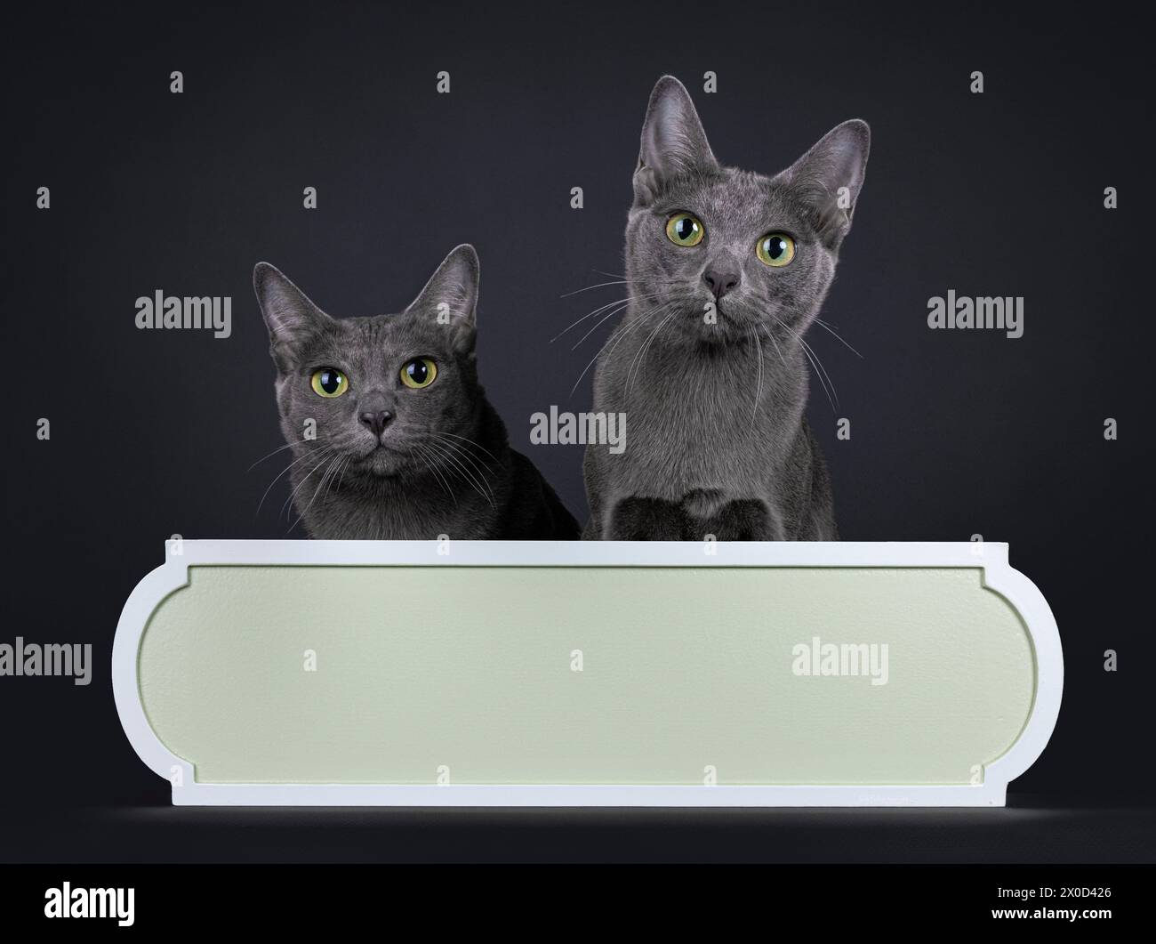 Mom daughter on gray background hi-res stock photography and images - Alamy