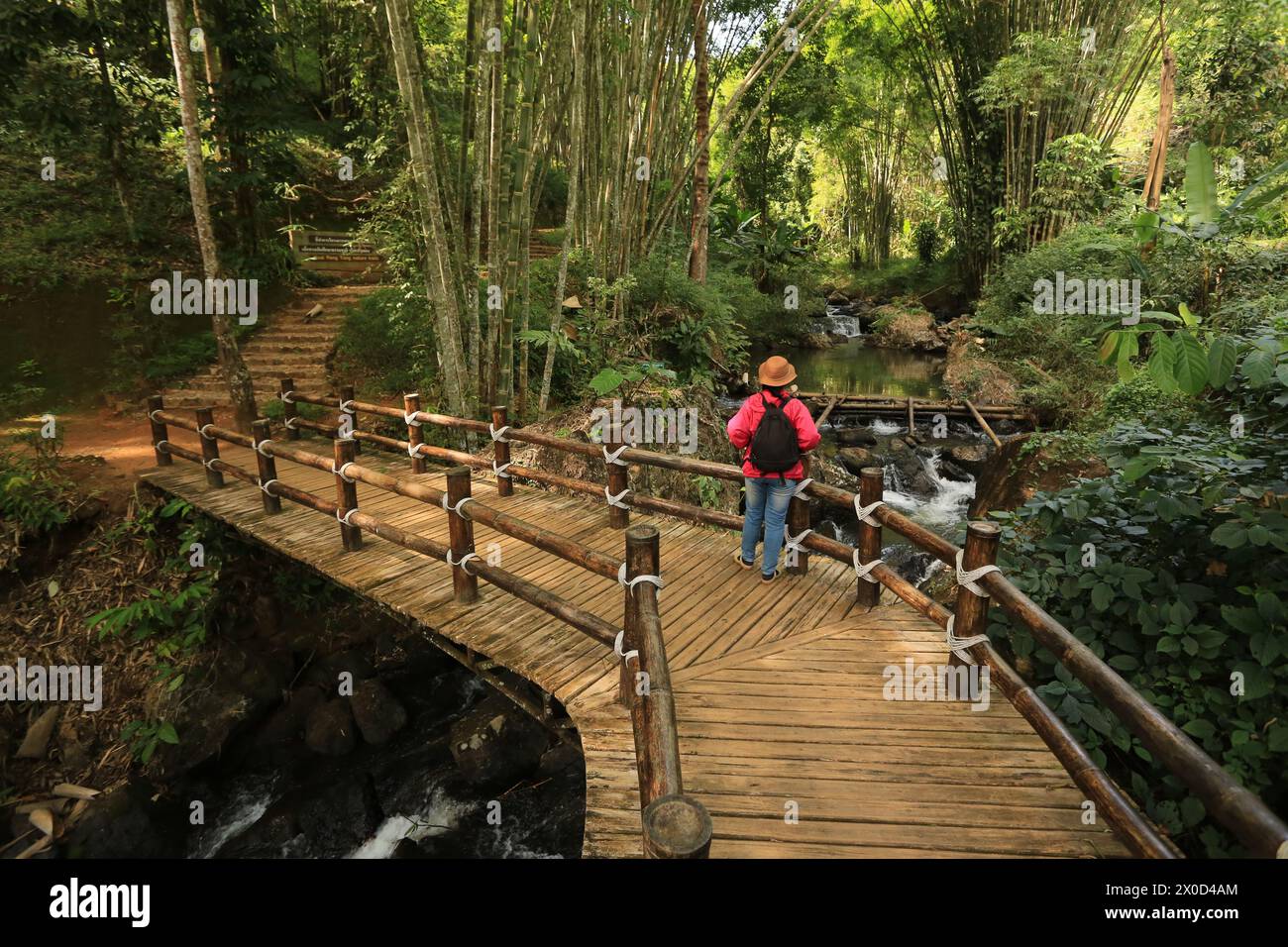 Maehongson bamboo complex hi-res stock photography and images - Alamy