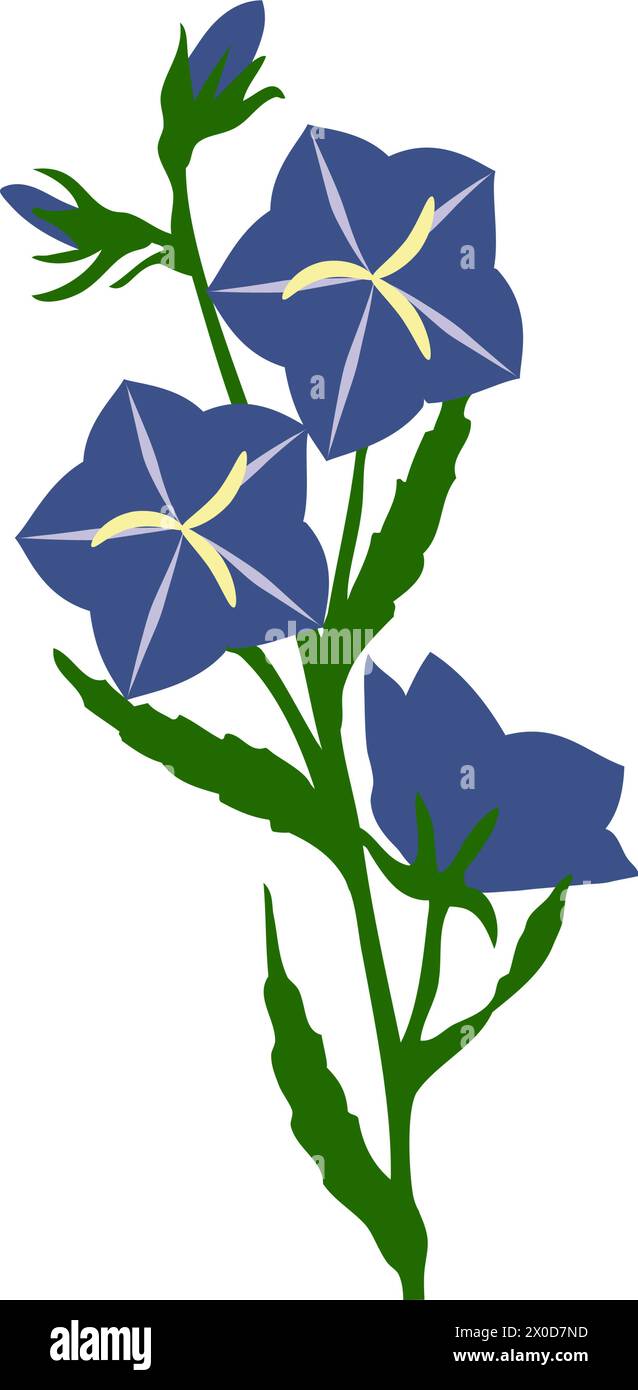 Bell flower. Beautiful flower for making summer and spring meadow ...