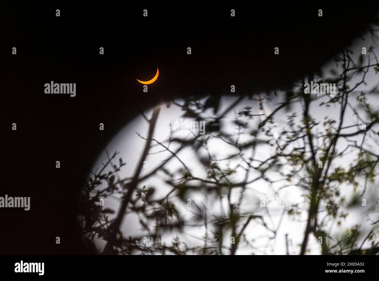 April 2024 solar eclipse seen in a forest in Indiana, USA Stock Photo ...