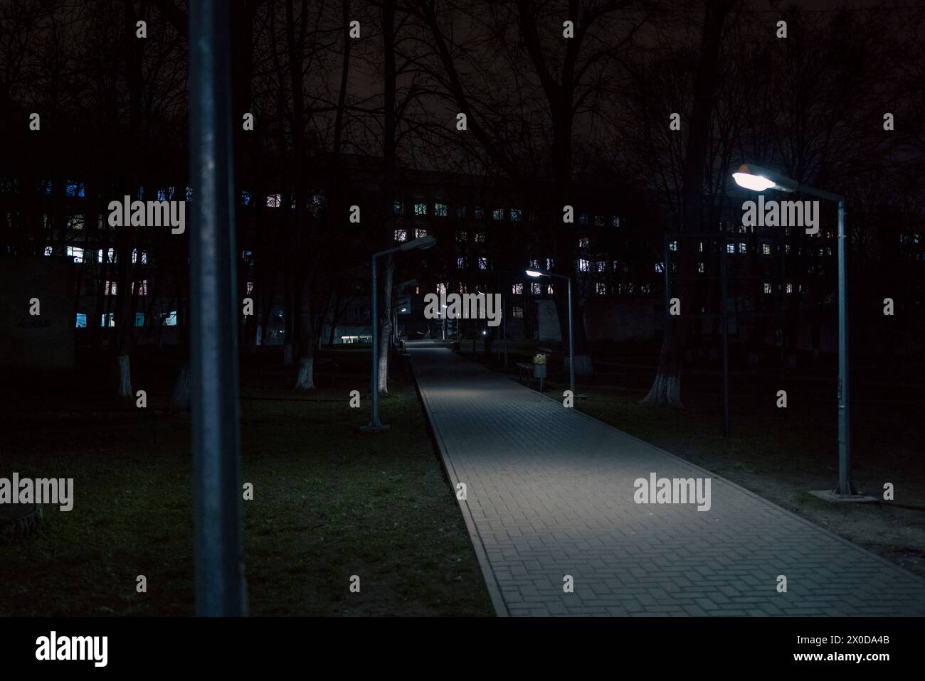 A neighborhood at night, from the lights outside and the windows of the ...