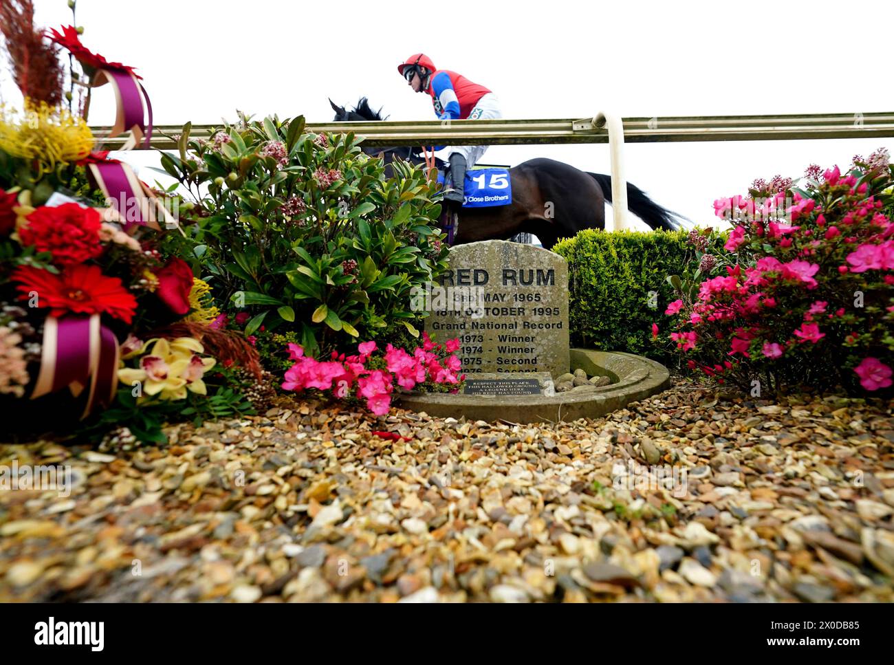 A runner and rider passes the grave of Red Rum on day one of the 2024 ...